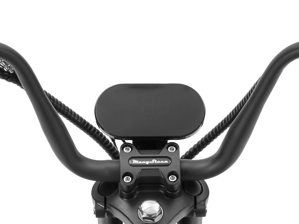 2000W Electric Trike Scooter - Eahora M2 Trike Black – Eahora Scooter