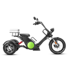 2000W Electric Trike Scooter - Eahora M2 Trike Black – Eahora Scooter