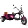 Motorcycle & Sidecar | 2000W Electric Trike Scooter -Eahora M1P Purple